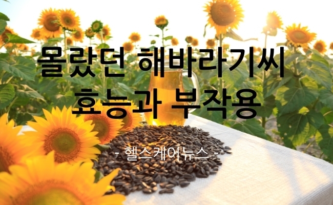 몰랐던 해바라기씨 효능과 부작용